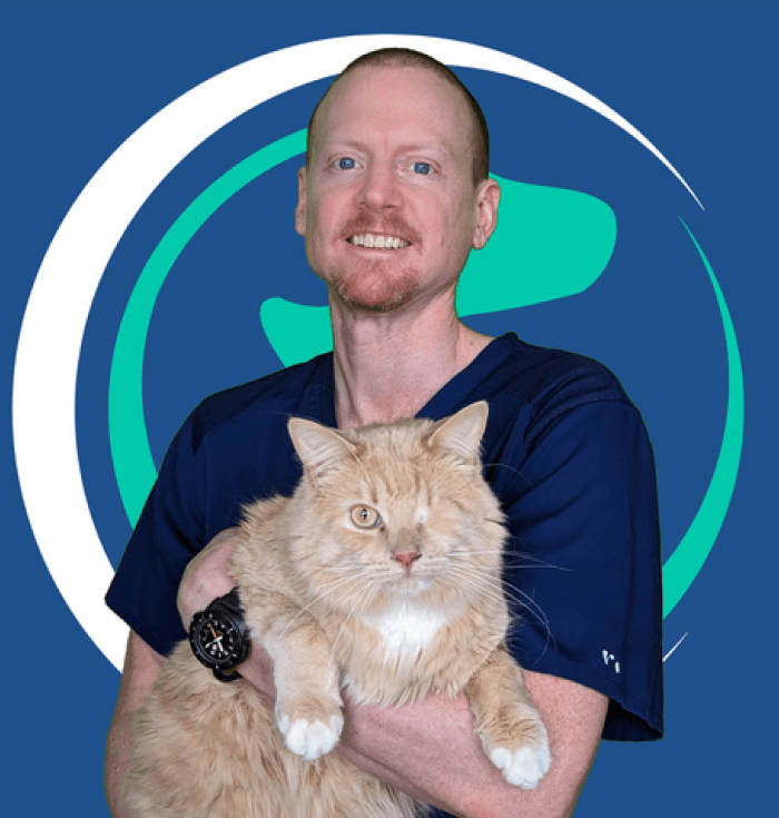 Dr. Andrew Lowe | Capital City Specialty And Emergency Animal Hospital