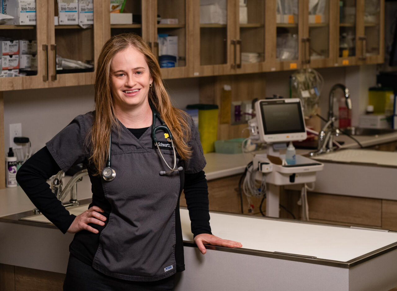 Veterinarian In Kanata, Ontario, K2V 0H2 | Capital City Specialty And ...