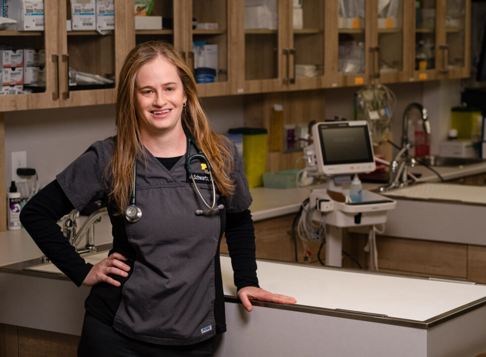 Veterinarian In Kanata, Ontario, K2V 0H2 | Capital City Specialty And ...