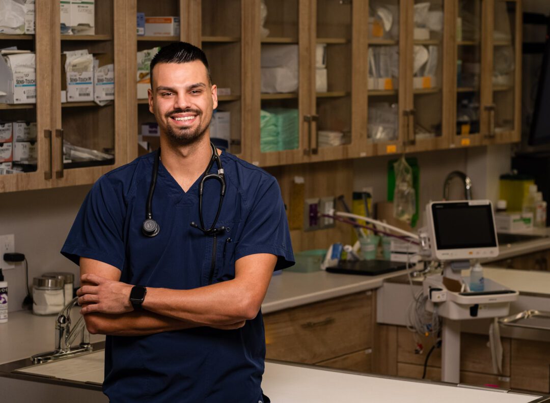 Veterinarian In Kanata, Ontario, K2V 0H2 | Capital City Specialty And ...