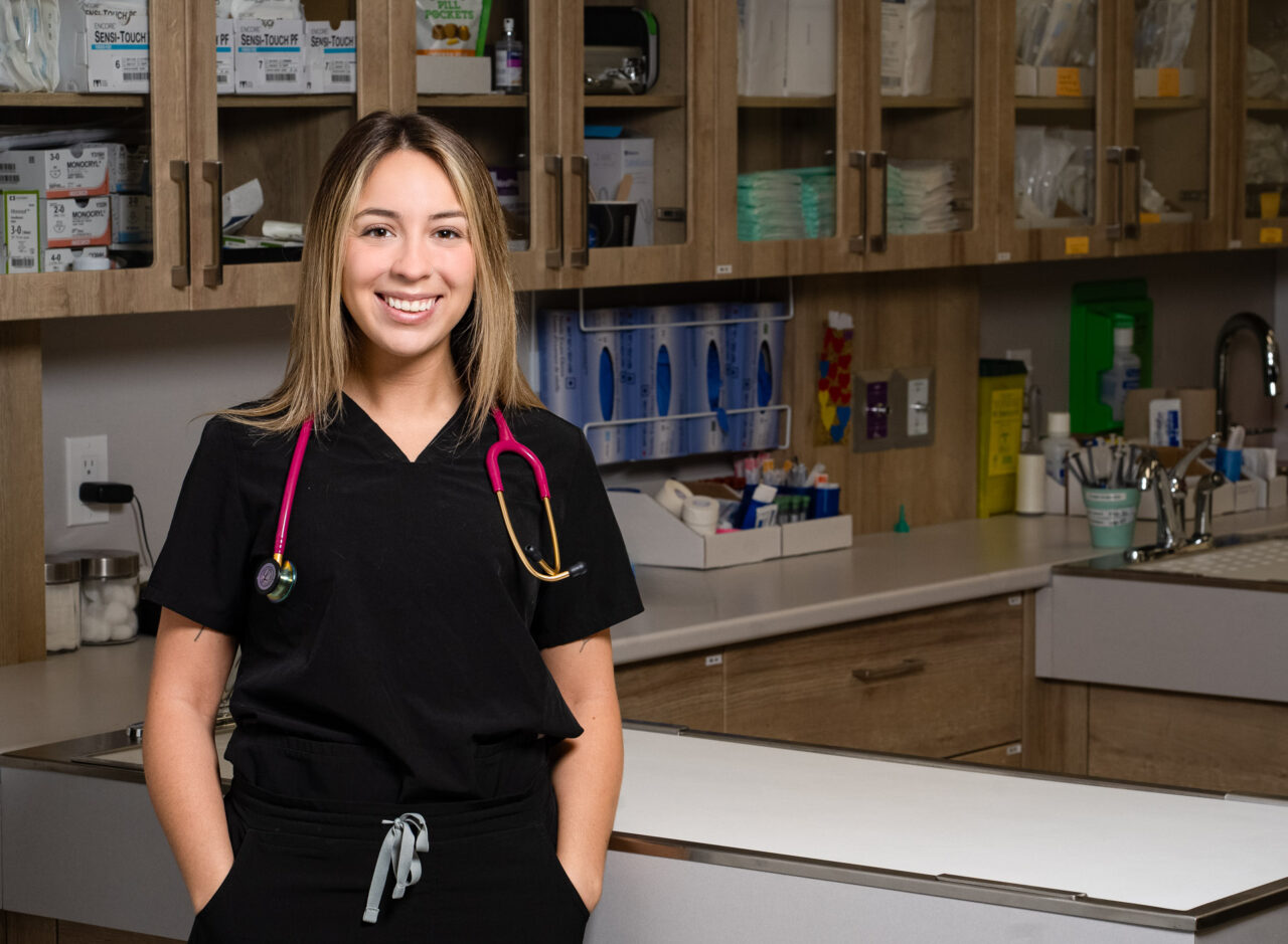 Veterinarian In Kanata, Ontario, K2V 0H2 | Capital City Specialty And ...