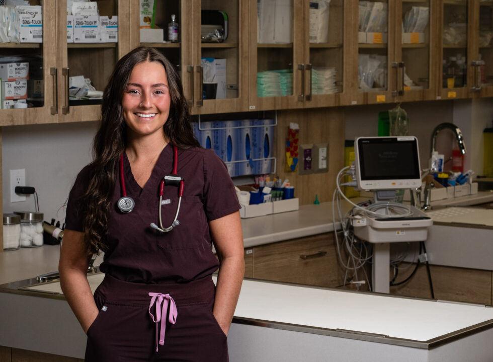 Veterinarian In Kanata, Ontario, K2V 0H2 | Capital City Specialty And ...