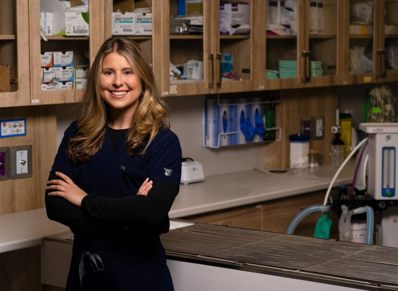 Veterinarian In Kanata, Ontario, K2V 0H2 | Capital City Specialty And ...