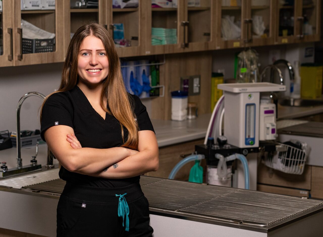 Veterinarian In Kanata, Ontario, K2V 0H2 | Capital City Specialty And ...