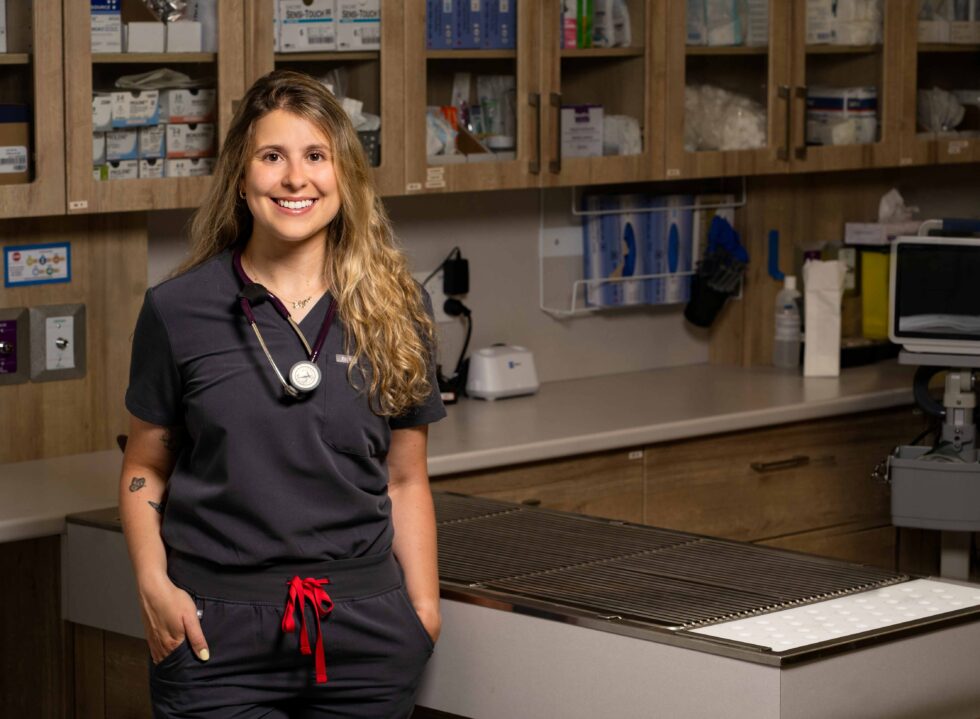 Veterinarian In Kanata, Ontario, K2V 0H2 | Capital City Specialty And ...